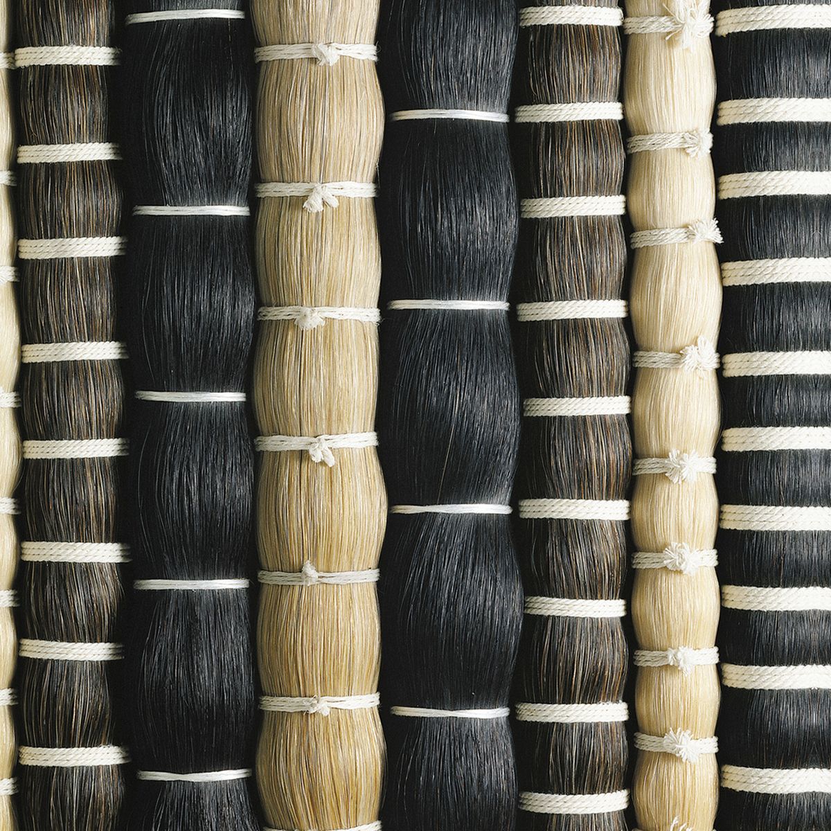 Crin de Cheval : Tout savoir sur cette célèbre matière | Soubacq